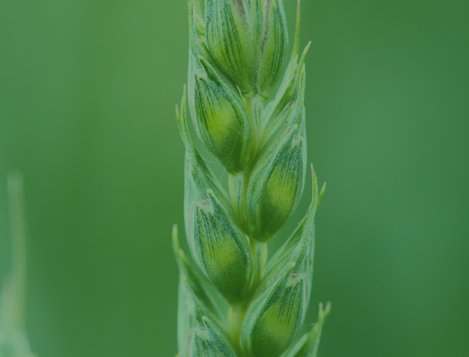 Página Principal | ALADIVIRTUAL